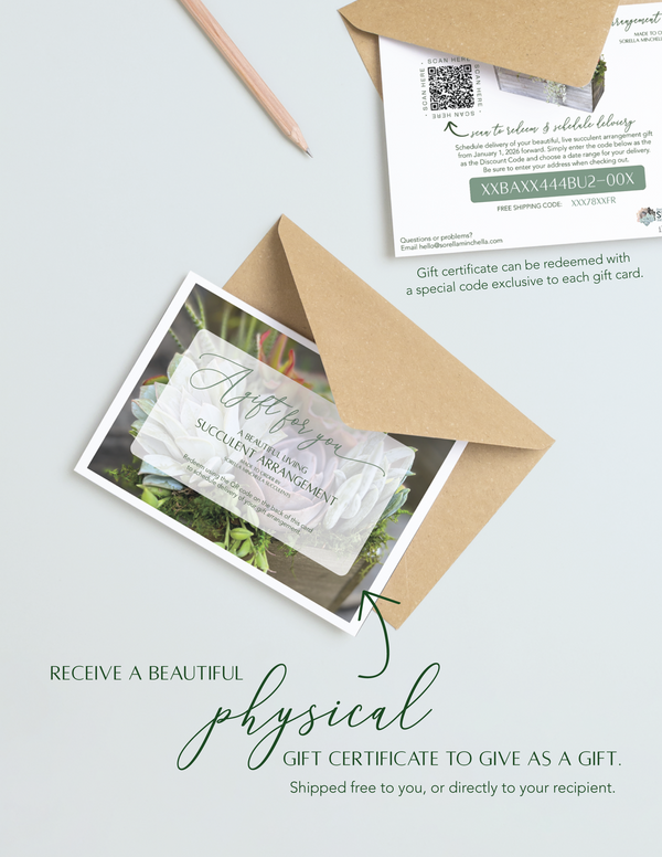 Gift Card Package for Succulent Arrangement, PreOrder up to 50% Off ...